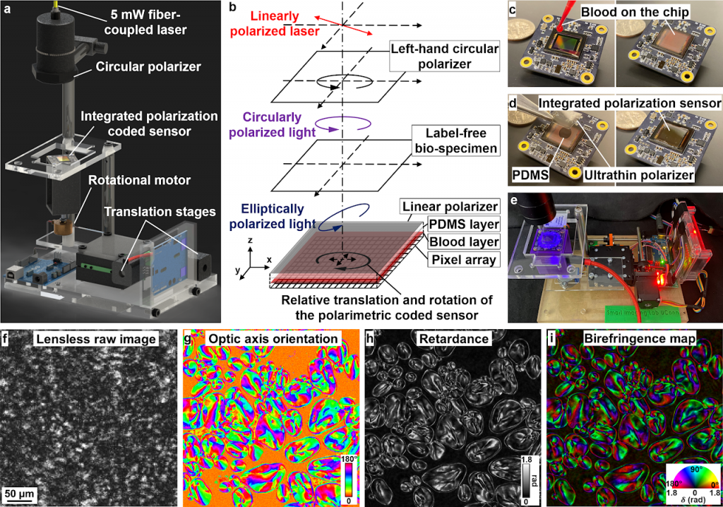 Publications | Smart Imaging Lab